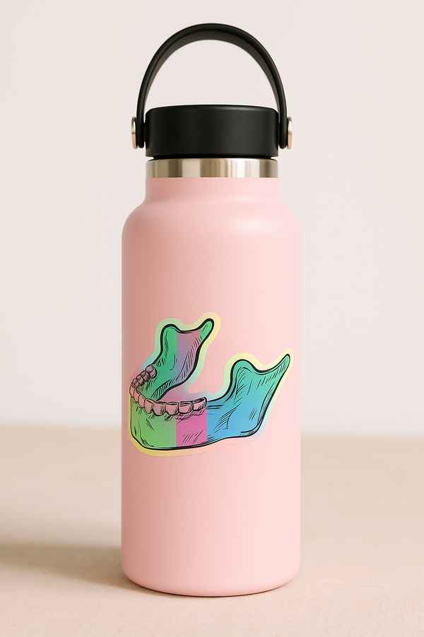 Anatomical Jaw Sticker – Rainbow Gradient Mandible Decal for Dental Pr ...